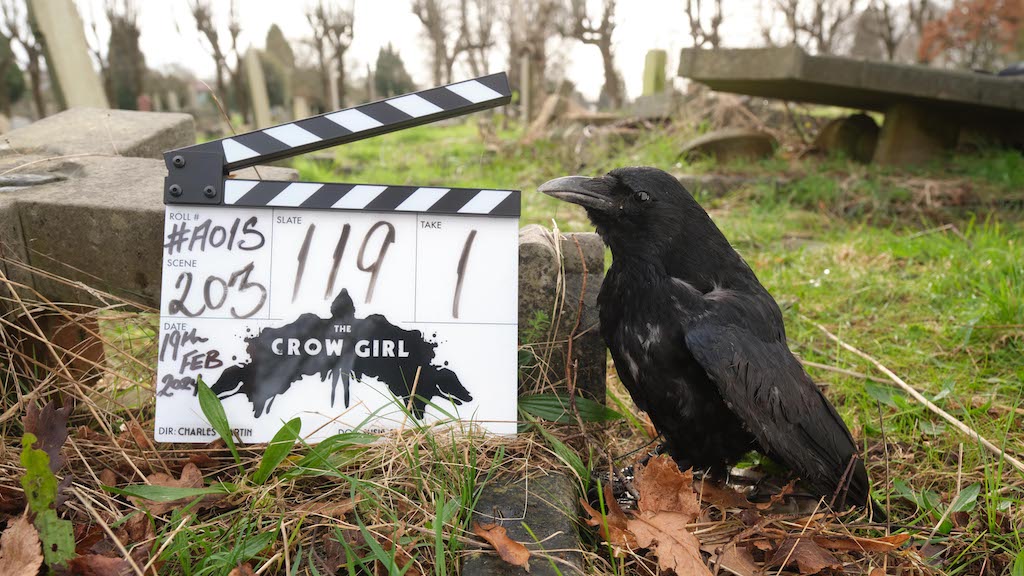 Erik Axl Sund'ın 'The Crow Girl' Romanı Dizi Oluyor - 221B Dergi